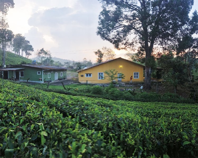 Valparai Kurangumudi Estate Homestay - VALPARAI COTTAGE BOOKING